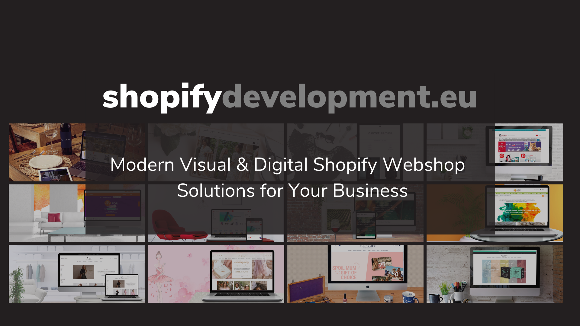 LEARN OUR SHOPIFY WEBSHOP DEVELOPMENT OPPORTUNITIES! - Dolphio I Unique IT Solutions